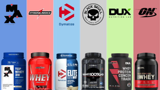 TOP 6 Melhores Marcas de Whey Protein da Atualidade - www.burpee.com.br